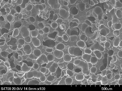 PP Foaming | Polypropylene Foam Extrusion | CHUANGBO